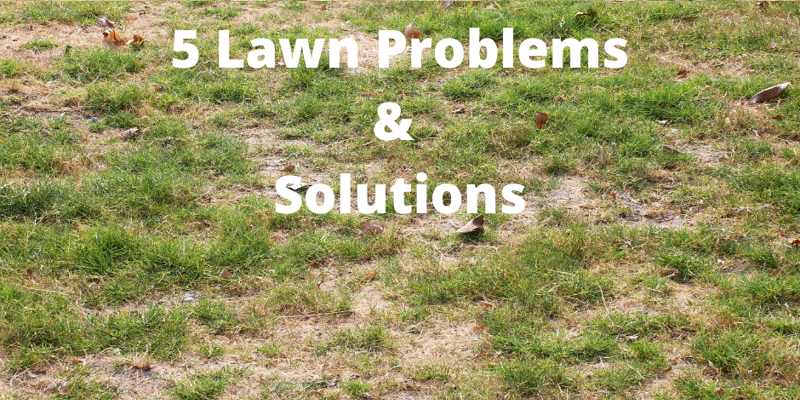 5-lawn-problem-and-solutions