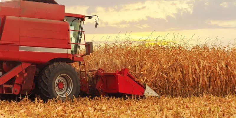 HOW TO STORE HARVESTED CROP
